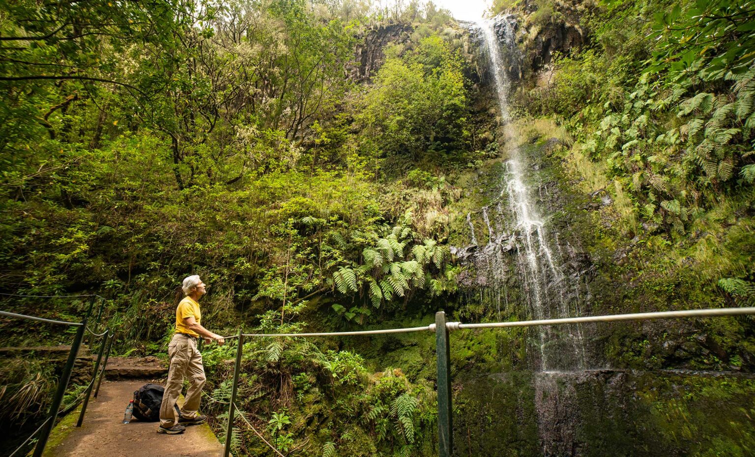 PR 9 - Levada do Caldeirão Verde Waterfall Hike in Madeira